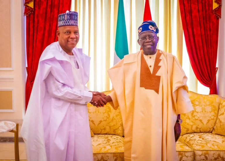 Tinubu taking bullets previous leaders avoided - Shettima - Realtime.ng